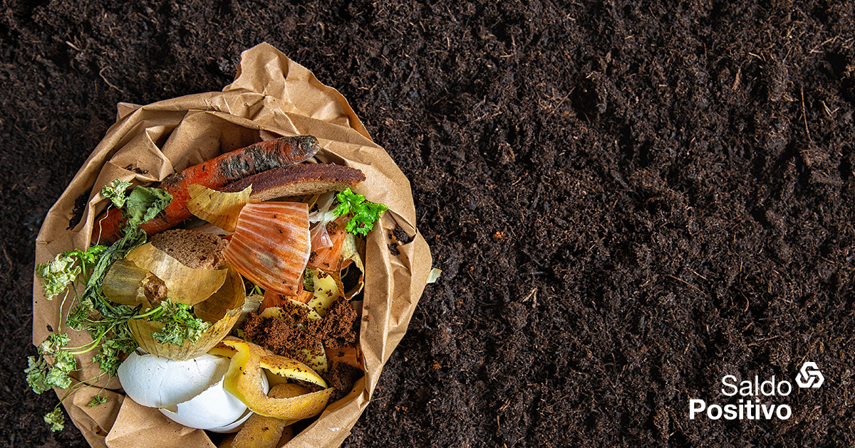 Compostagem doméstica: saiba como funciona e como começar a reciclar