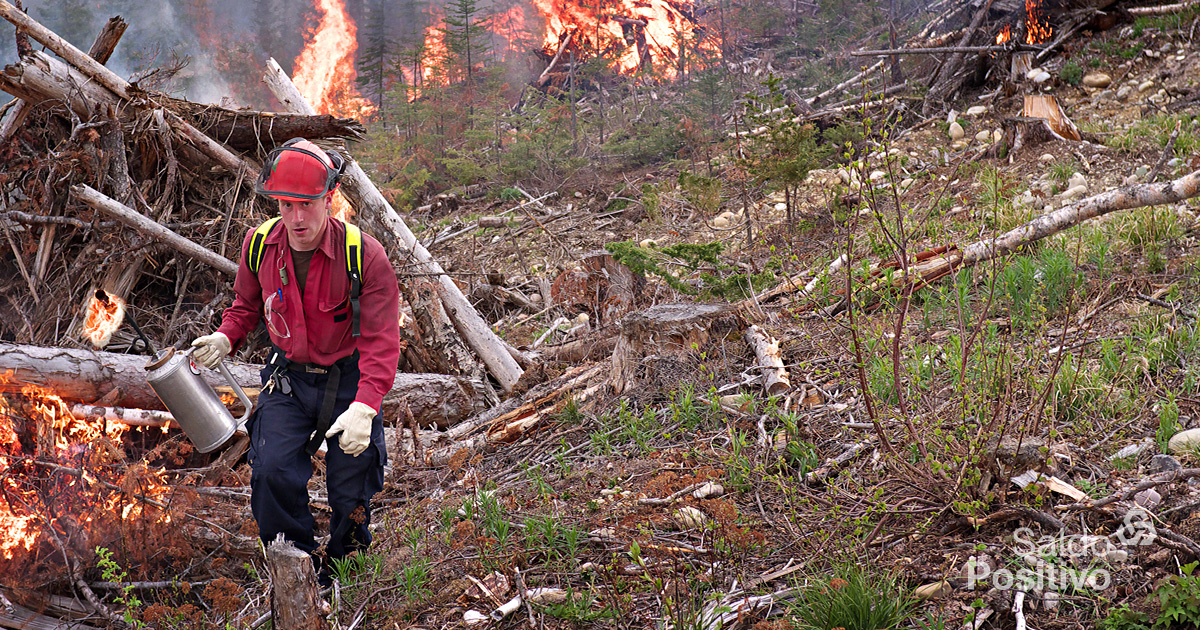 Queimas e queimadas: regras para evitar coimas e incêndios